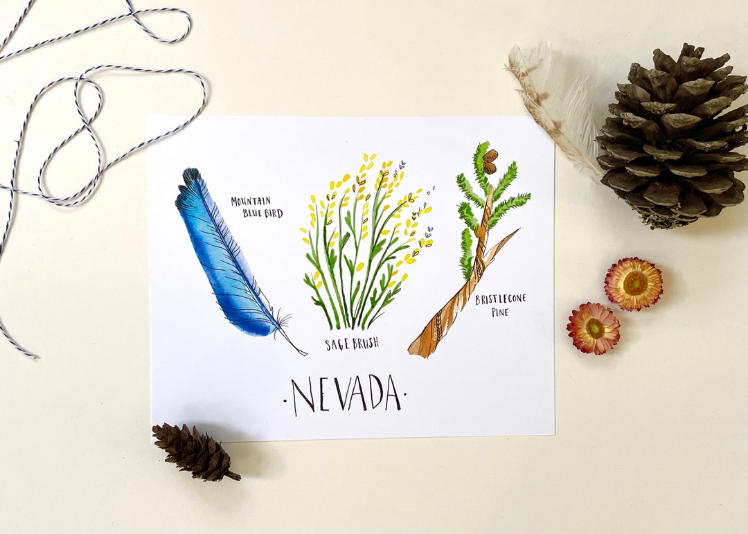Nevada State Bird State Flower State Tree Watercolor Botanical Art ...