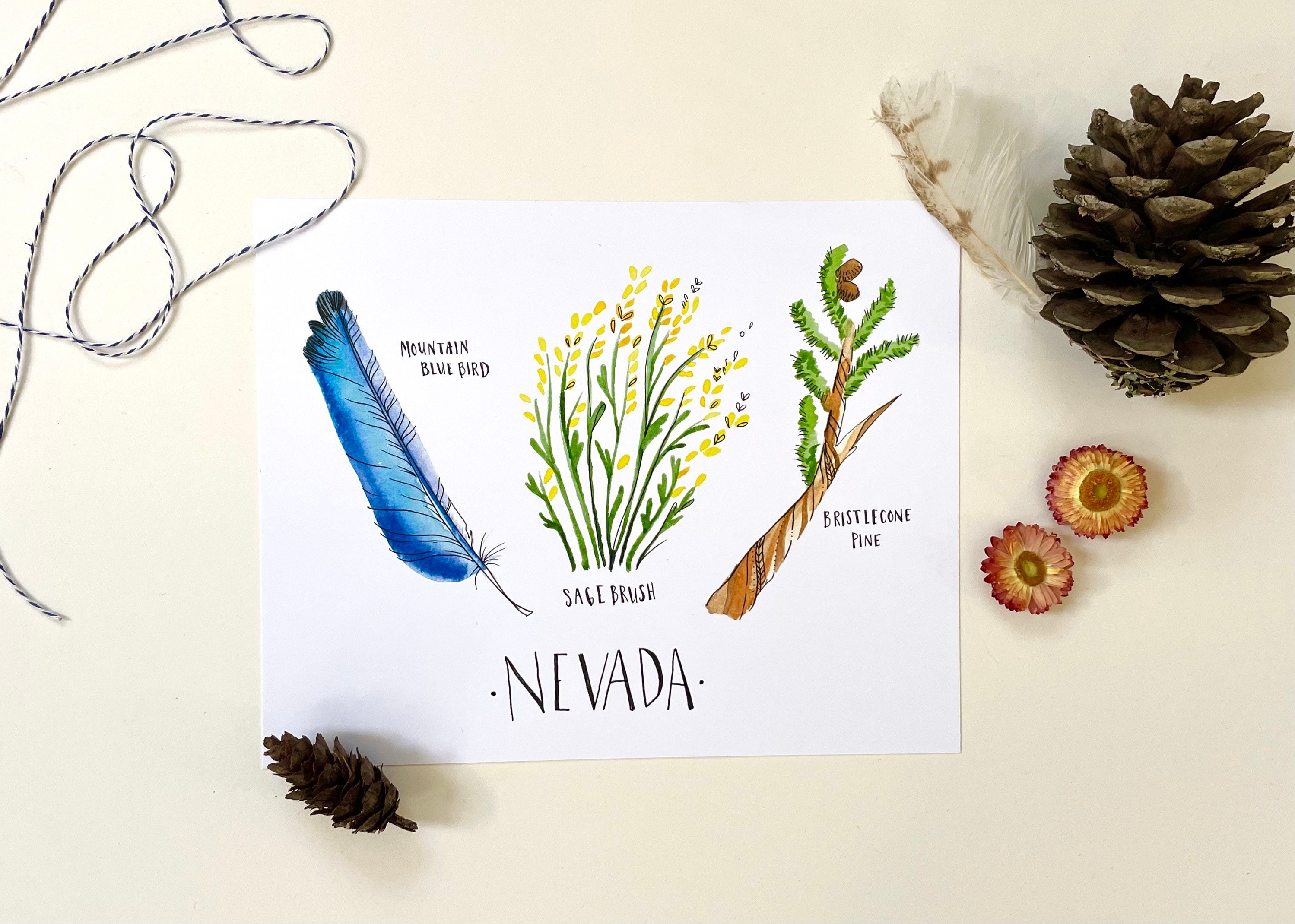 Nevada State Bird State Flower State Tree Watercolor Botanical - Etsy