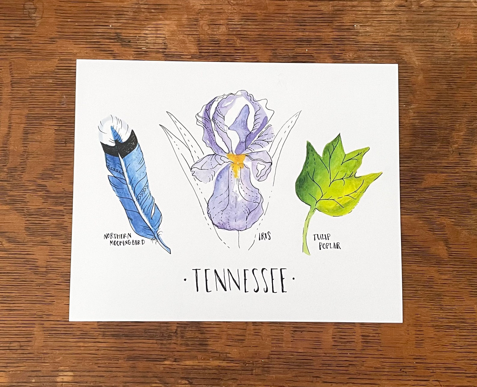Tennessee State Flower, Bird, and Tree Print Watercolor Wall Art Print ...