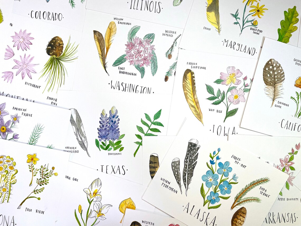 Arizona State Bird State Flower State Tree Art Print 8x10 Watercolor ...