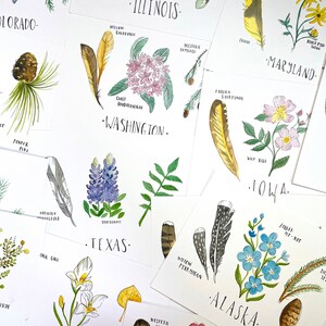 Arizona State Bird State Flower State Tree Art Print 8x10 Watercolor ...