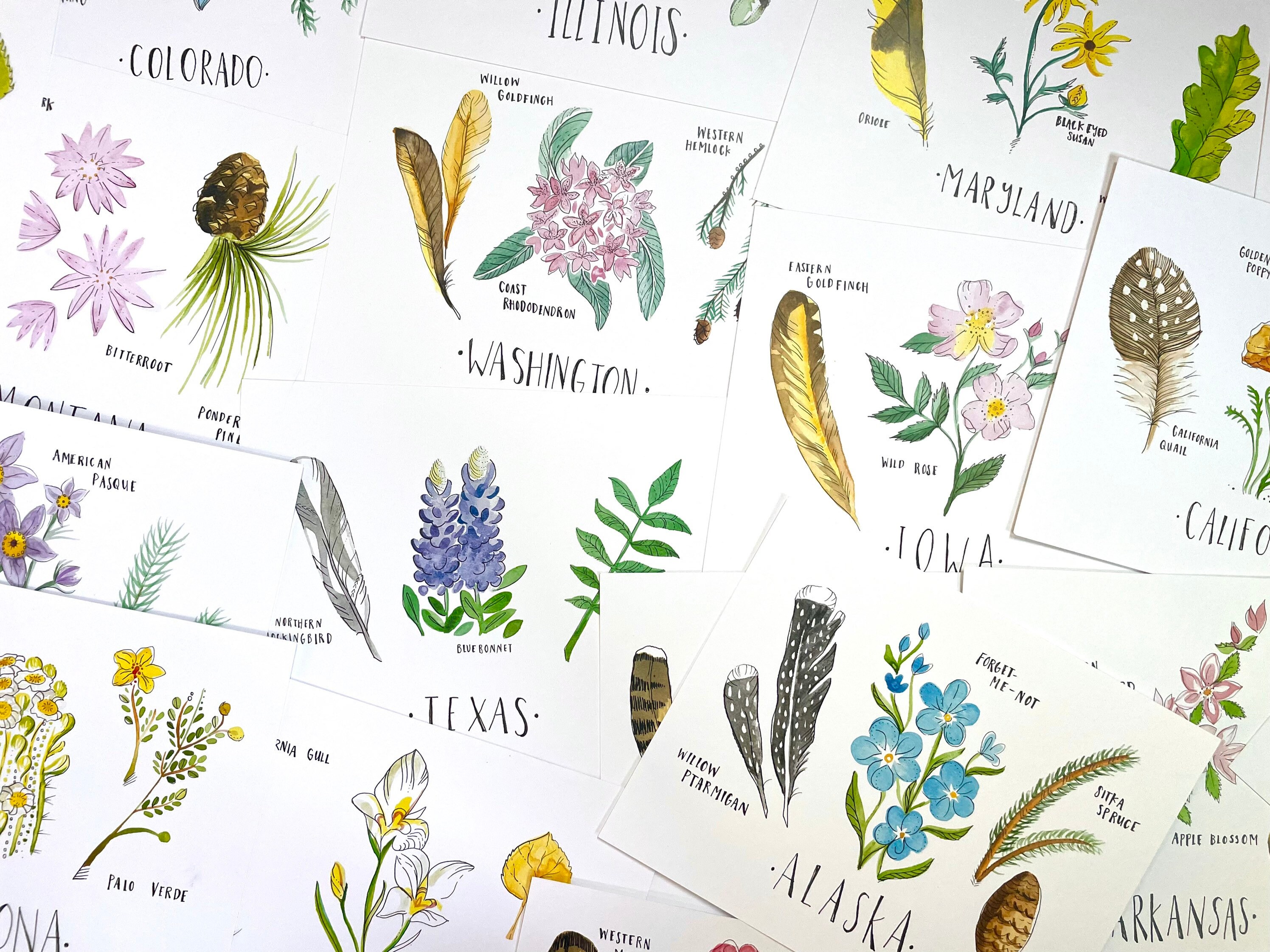 Arizona State Bird State Flower State Tree Art Print 8x10 Watercolor ...