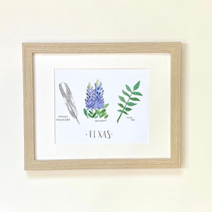 Texas State Bird, Flower, and Tree Print State Flower State Tree State ...