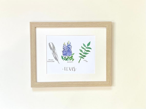 Texas State Bird Flower and Tree Print State Flower State | Etsy