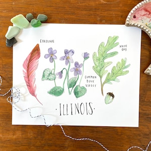 Illinois State Flower State Tree State Bird Watercolor Art Print ...