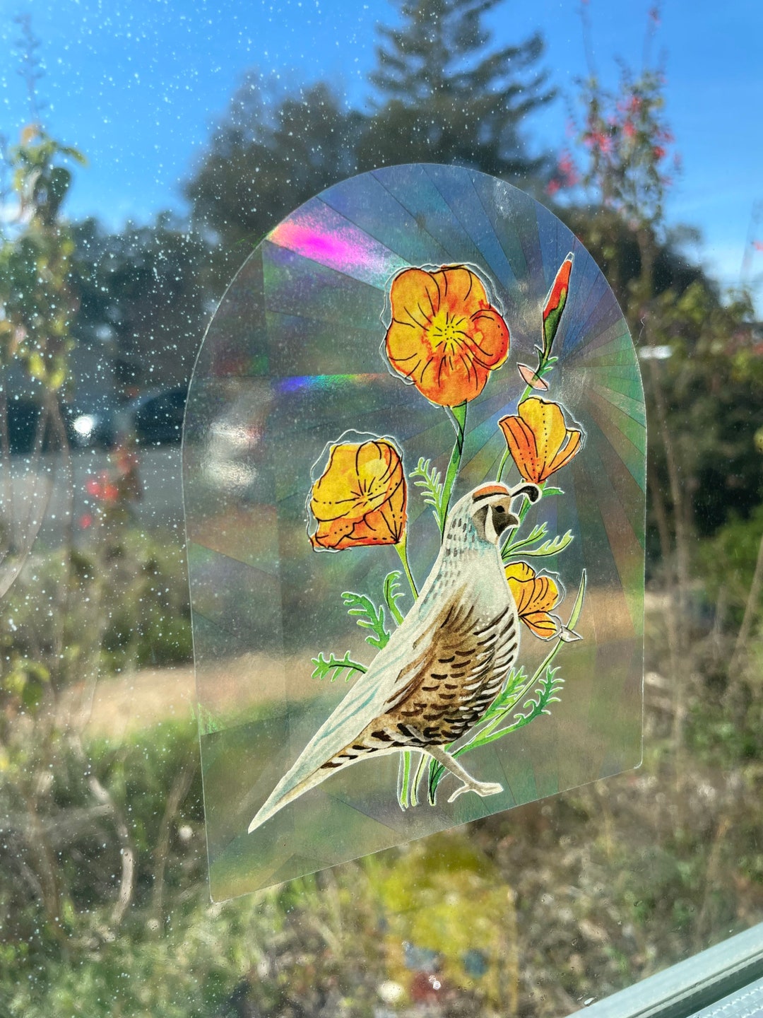 Poppy & Quail Sun Catcher Window Decal | Holographic Sticker Cast ...