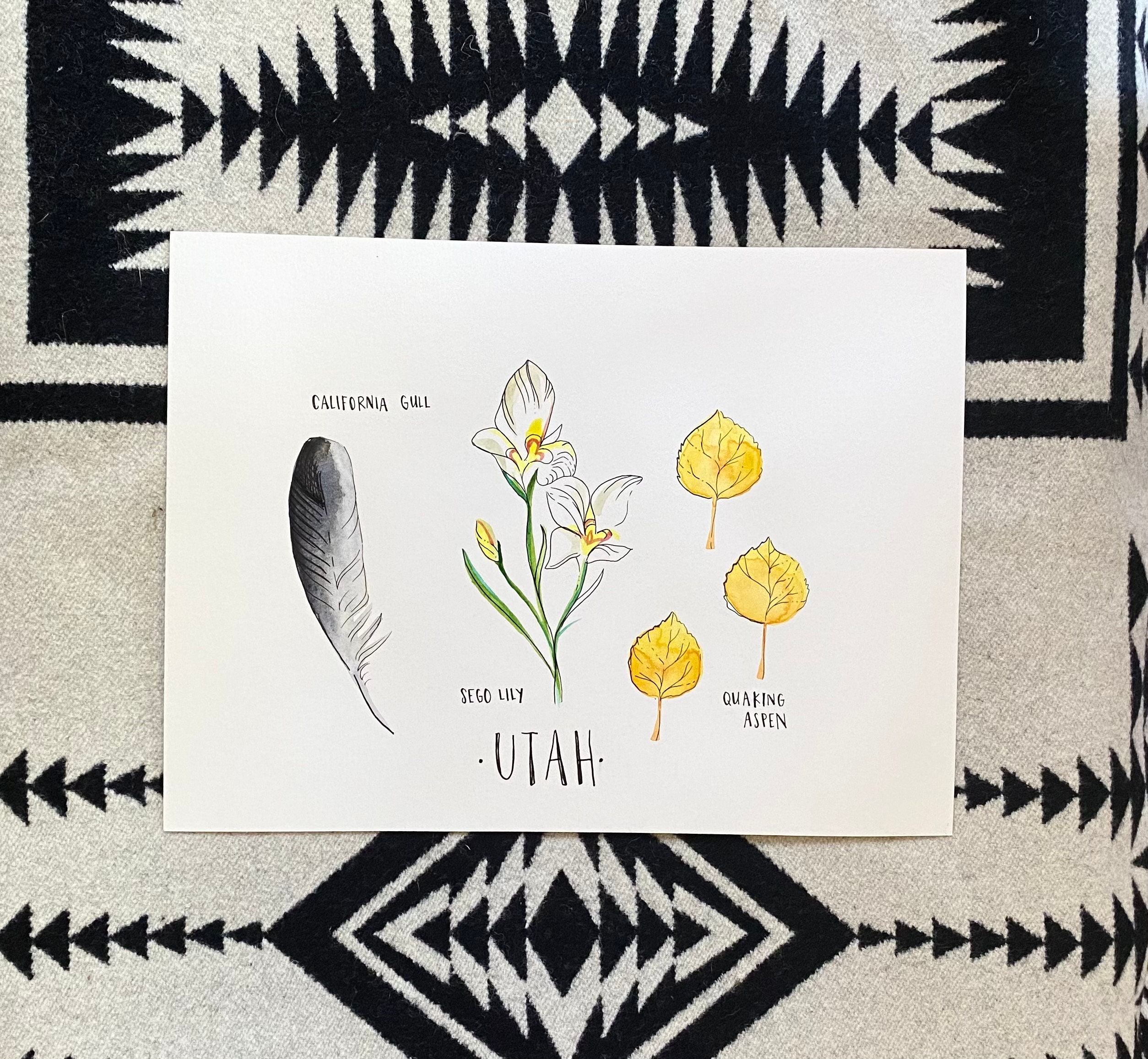 Buy Utah State Bird State Flower State Tree Art Print 8x10 Online in ...