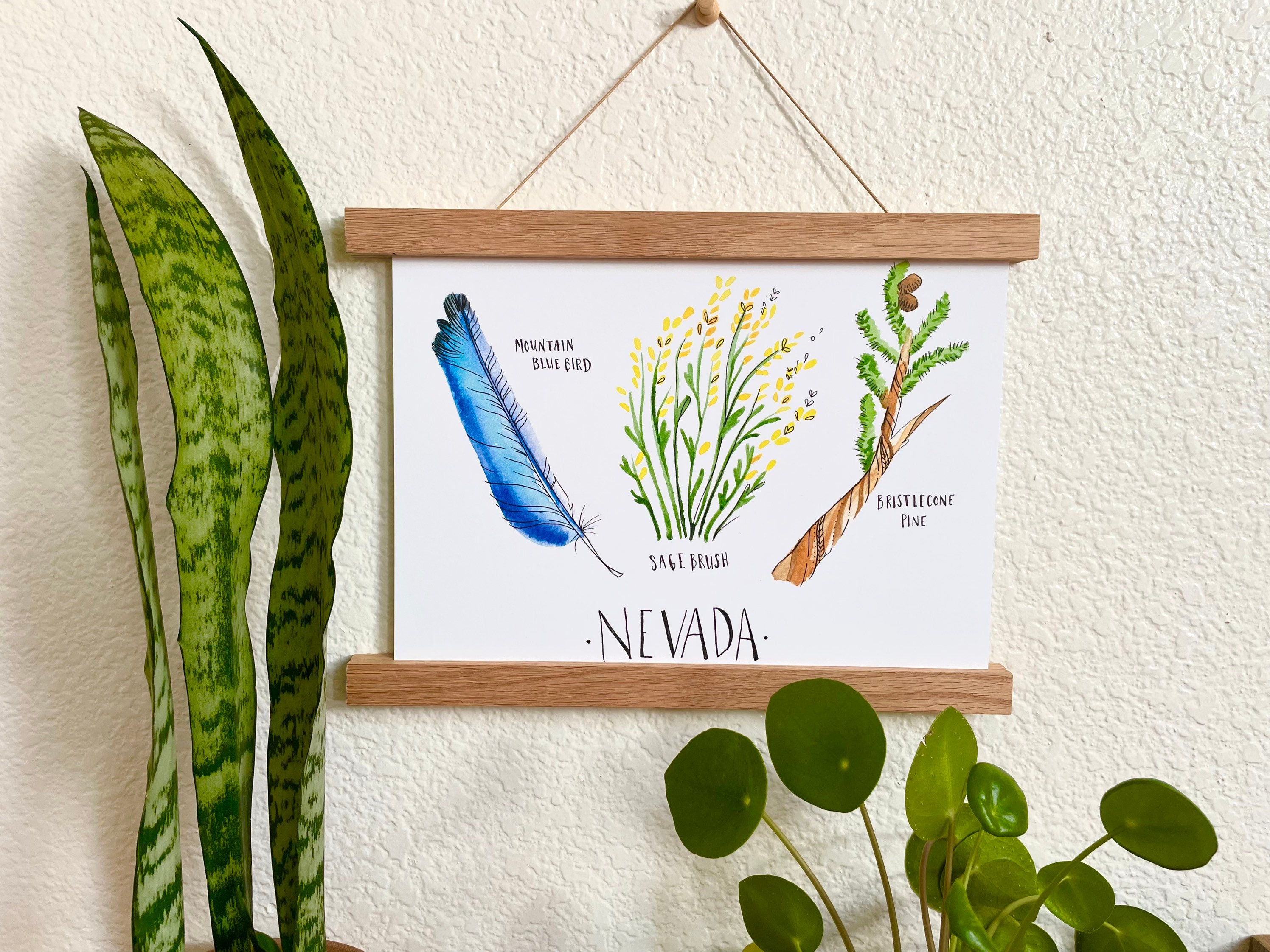 Nevada State Bird State Flower State Tree Watercolor Botanical - Etsy