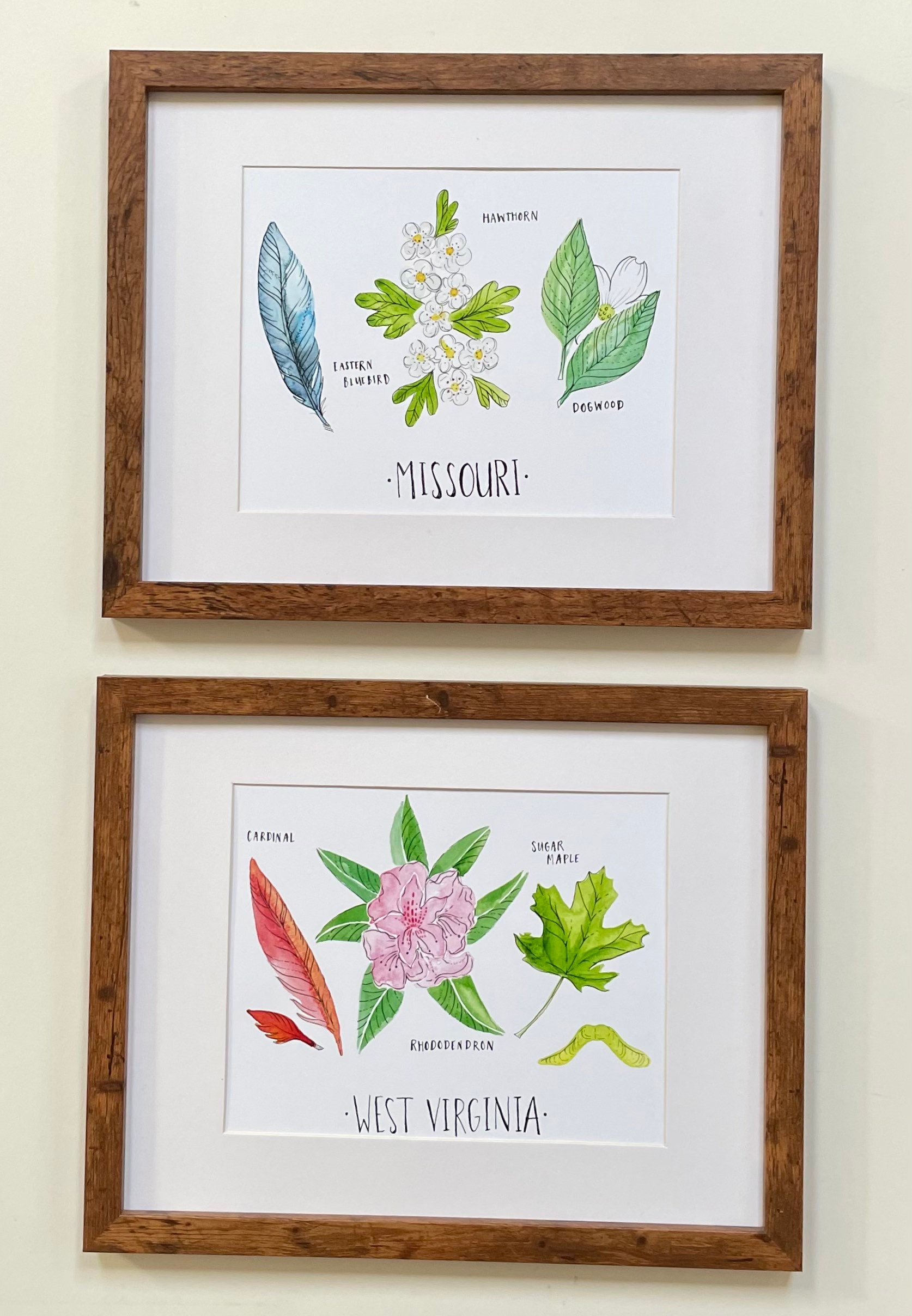 Missouri State Flower State Bird State Tree Art Print Missouri - Etsy