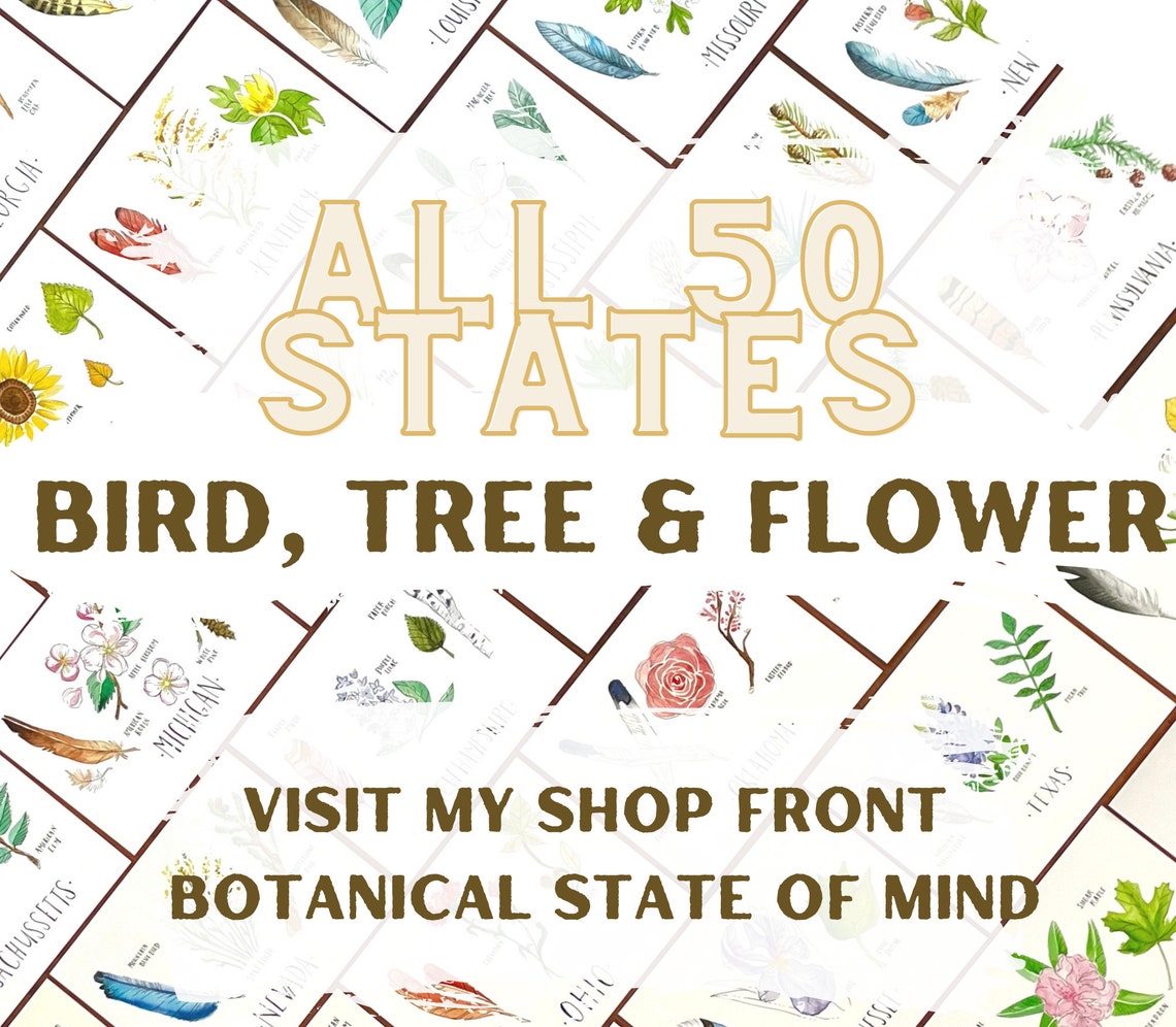 Virginia State Flower State Bird State Tree Art Dogwood Watercolor ...