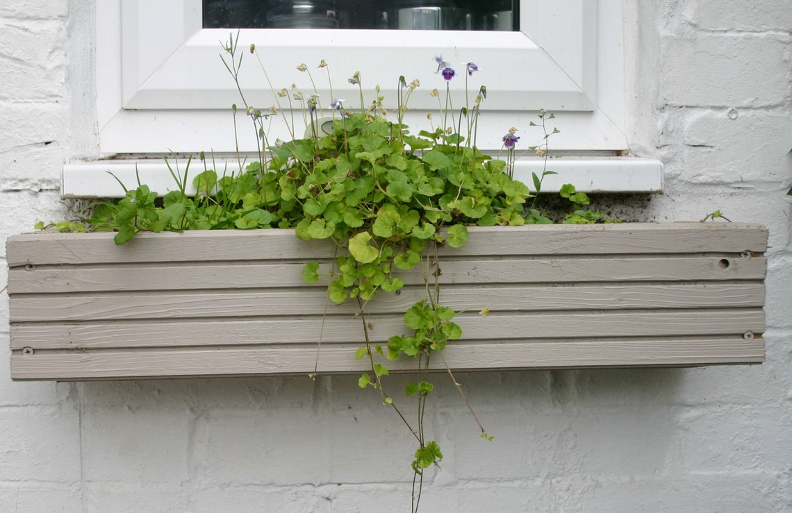 Wooden Garden Planter Trough Window Box Wood Decking Flower | Etsy UK