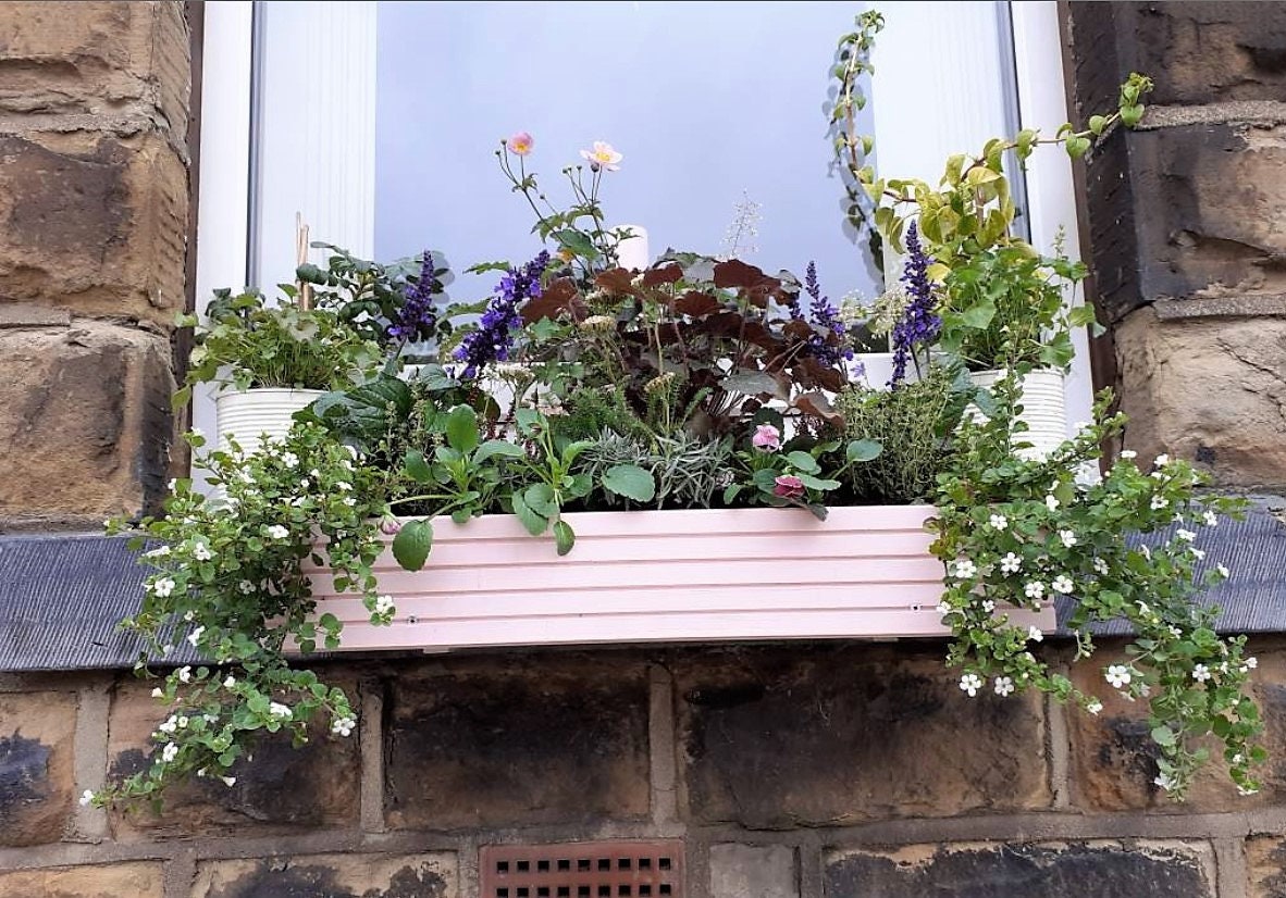 Painted Windowbox Colour Window Box Trough Planter Herb Flower - Etsy UK
