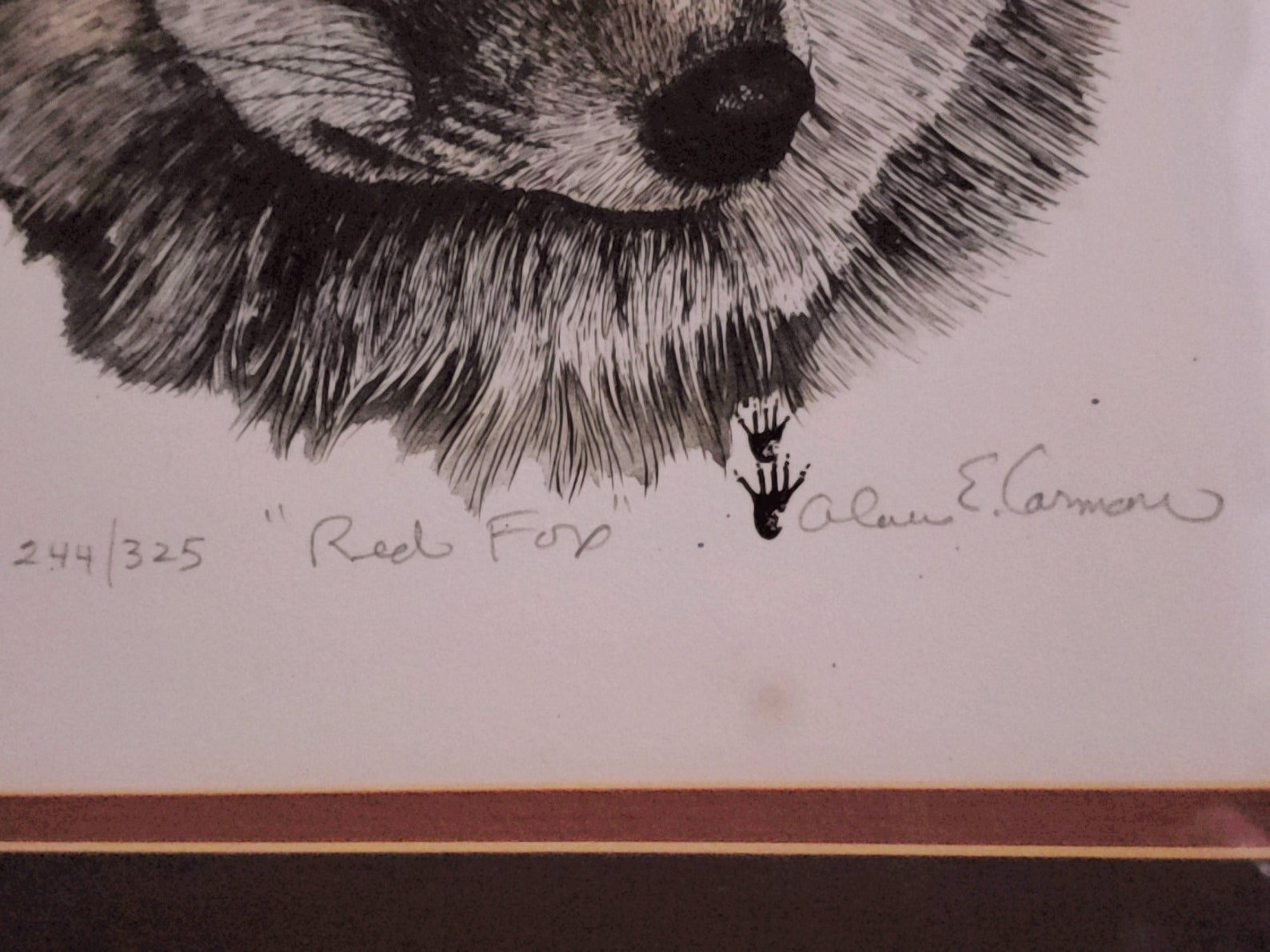 Red Fox Signed Lithograph Alan E Carman Signed and Numbered - Etsy