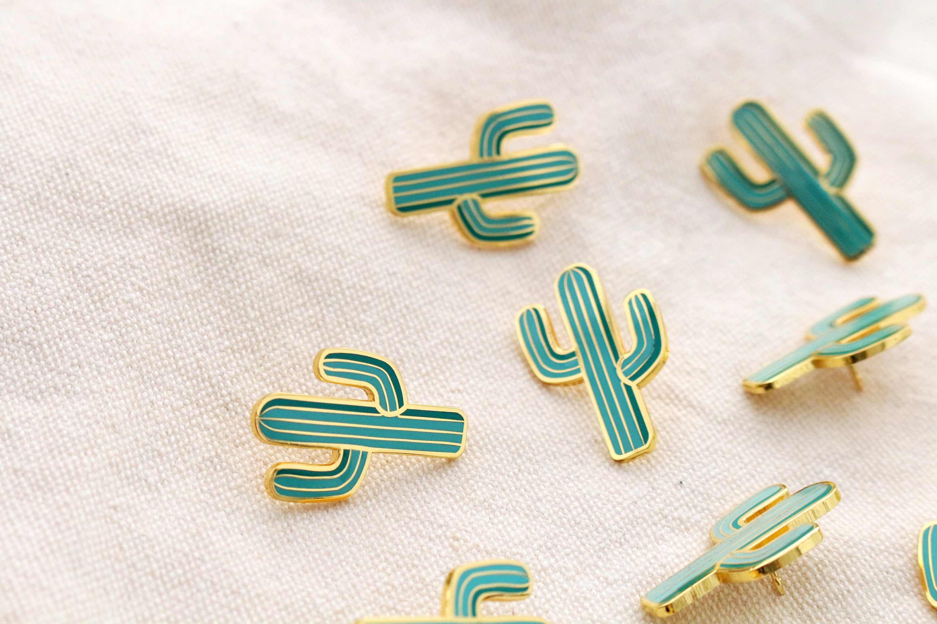 Cactus Enamel Pin | Etsy