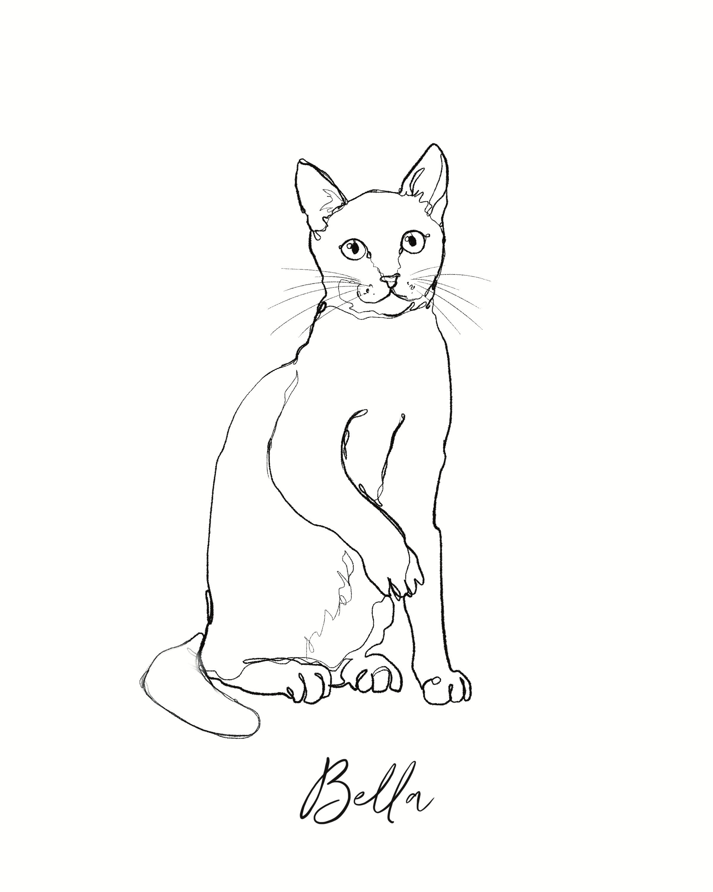 Custom Pet Line Art, Custom Cat Line Drawing Portrait - Etsy
