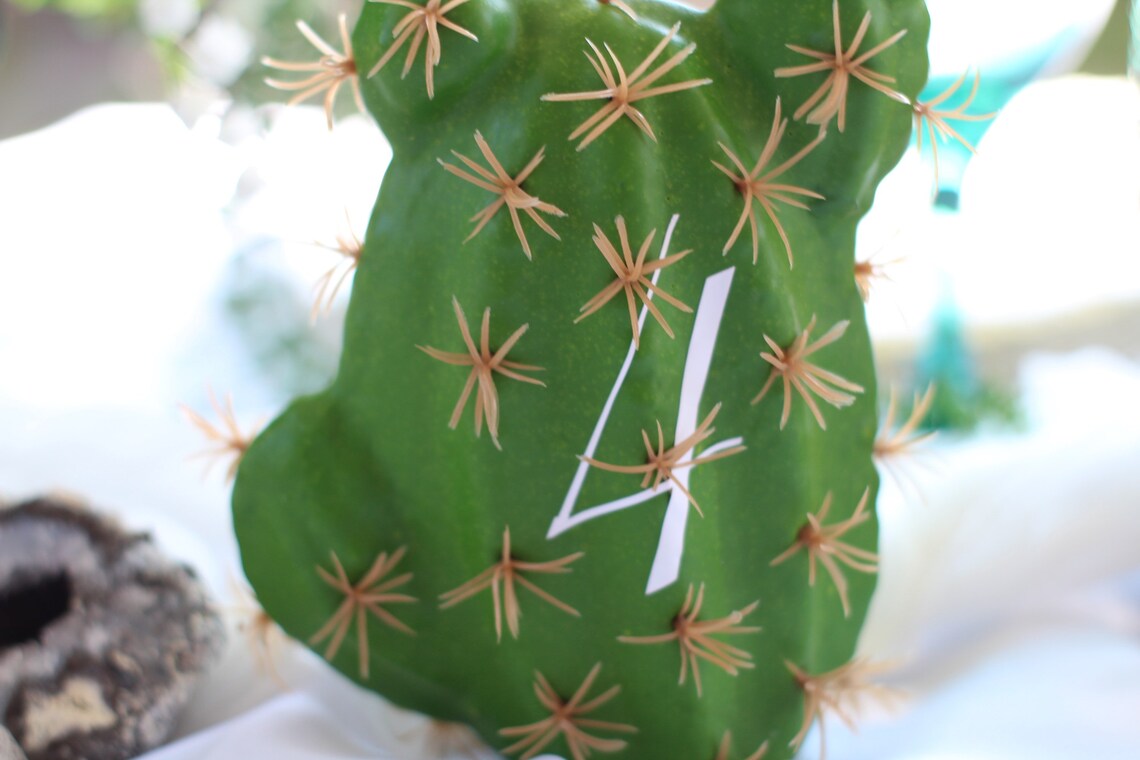 Cactus Table Numbers Cactus Baby Shower Cactus Wedding - Etsy