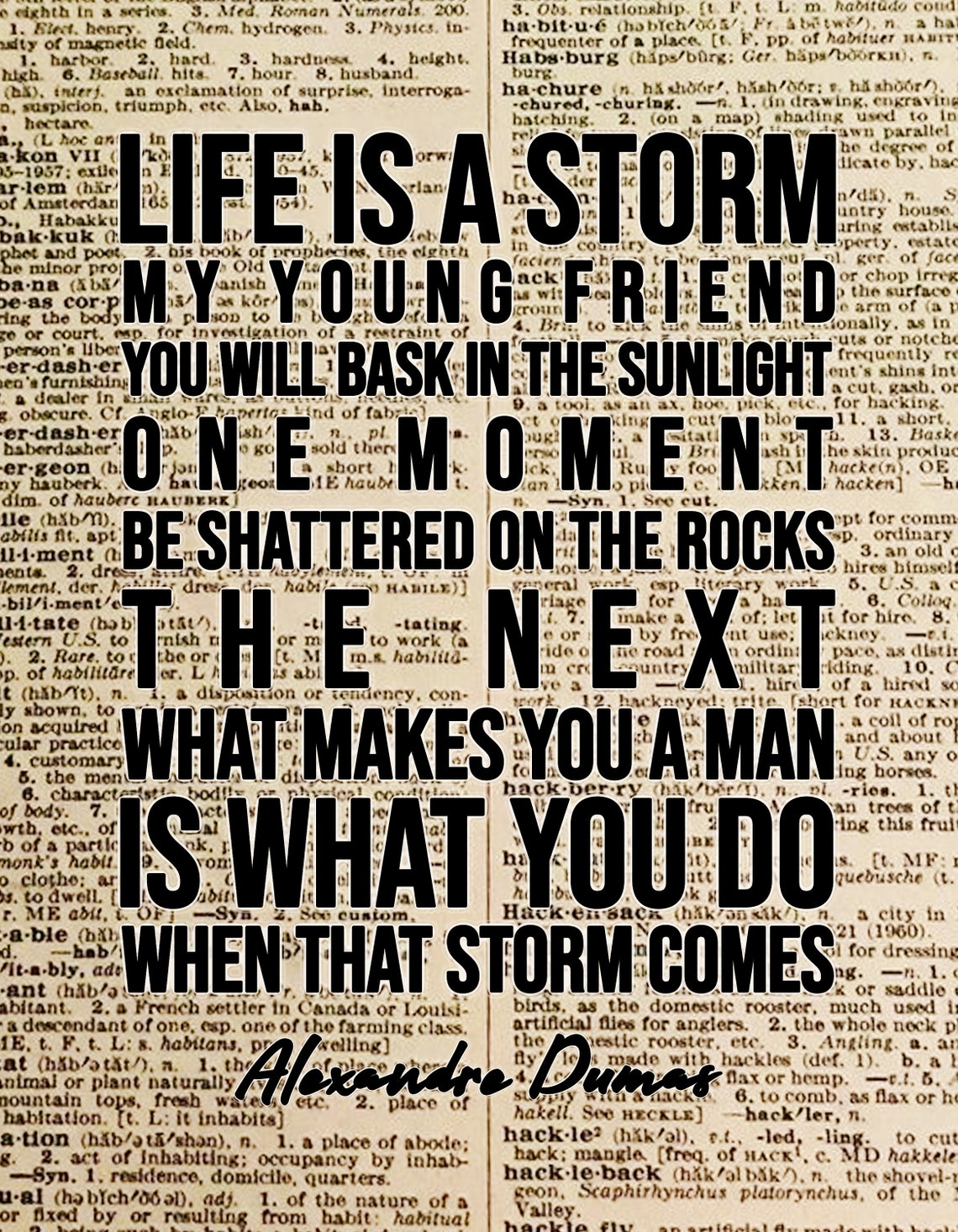 Life is A Storm Quote Alexandre Dumas Literary Poster / - Etsy