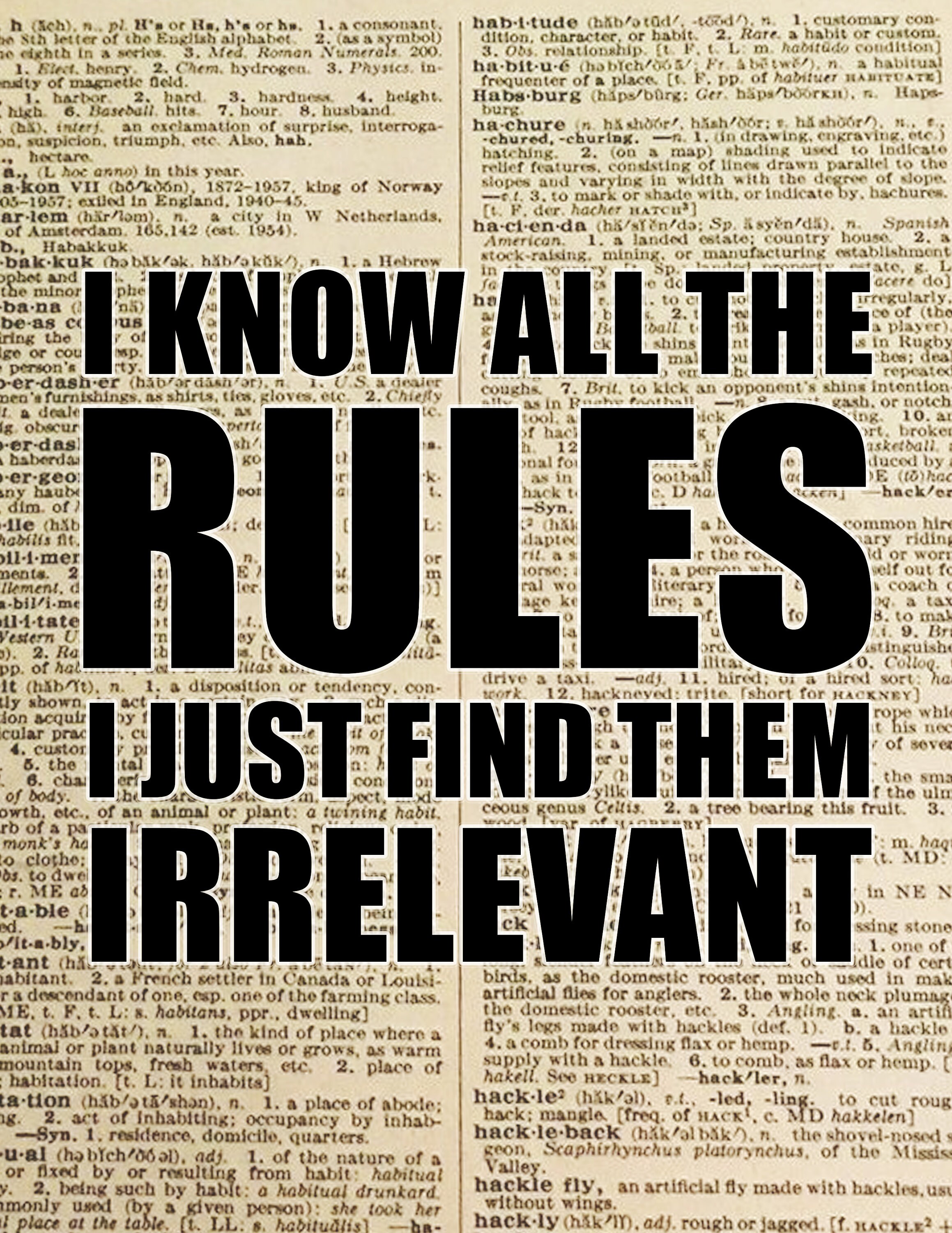 I Know All the Rules Dictionary Art/ Wall Art / Art Print | Etsy