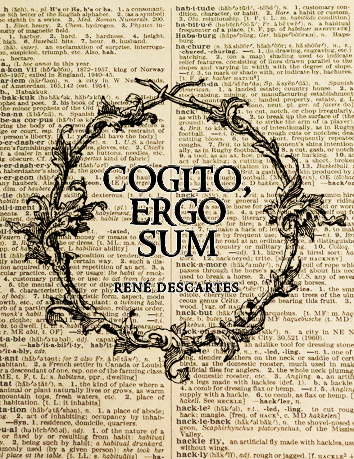 Cogito Ergo Sum Quote - René Descartes, Literary Poster / Literary ...