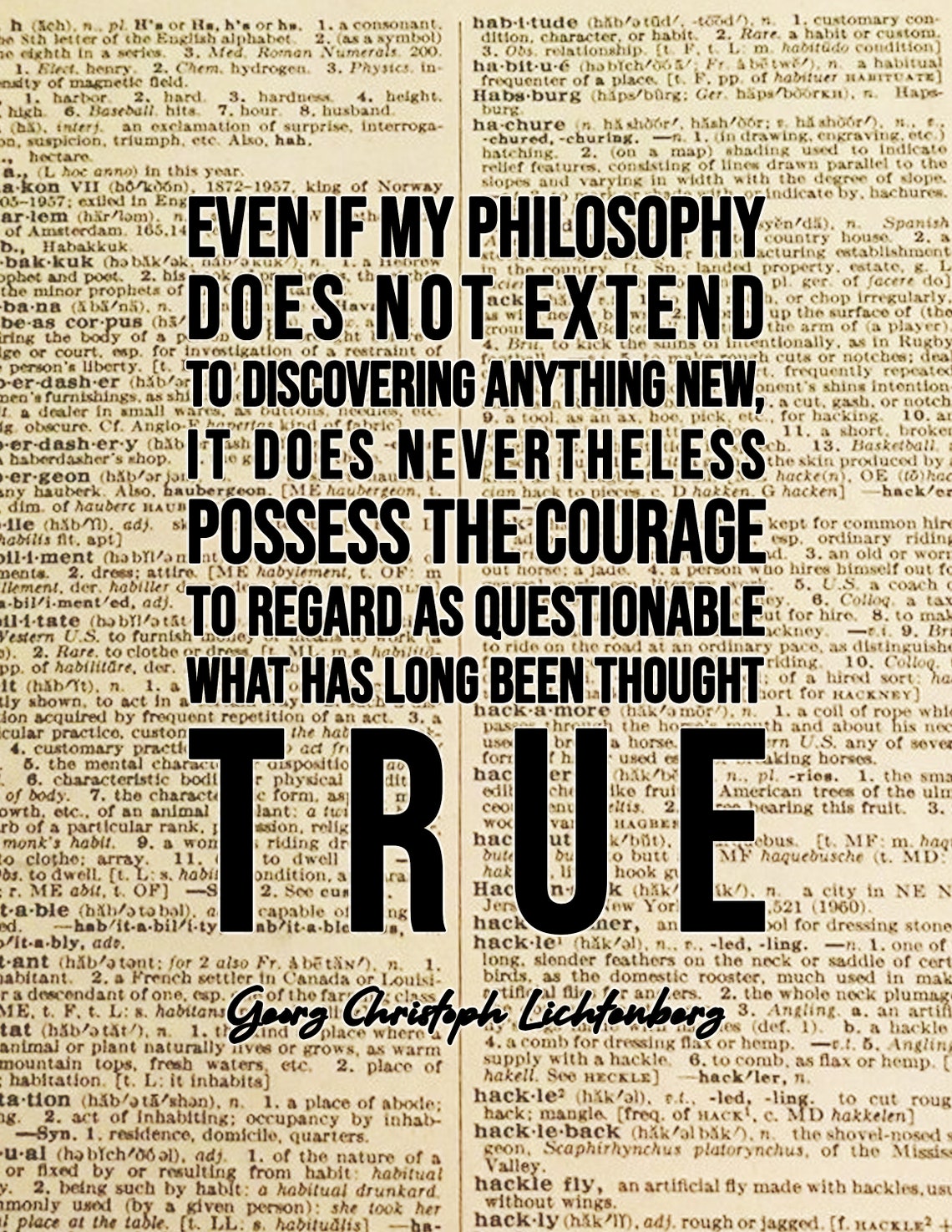 The Courage To Regard As Questionable Quote Georg Christoph | Etsy