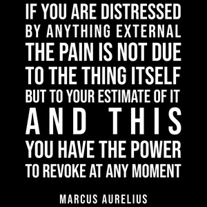 If You Are Distressed Quote / Marcus Aurelius, Literary Poster ...