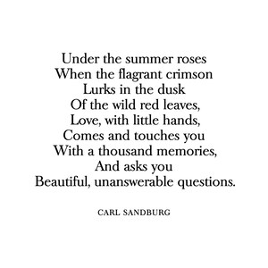 Under the Summer Roses Quote - Carl Sandburg, Literary Poster ...