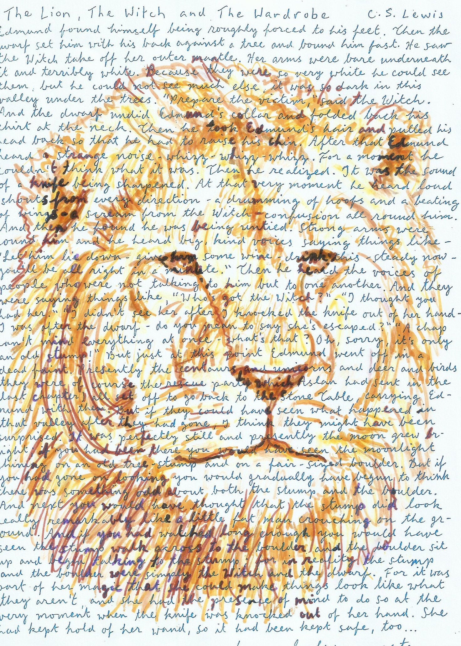 The Lion the Witch and the Wardrobe Poster Art Reading Poster - Etsy