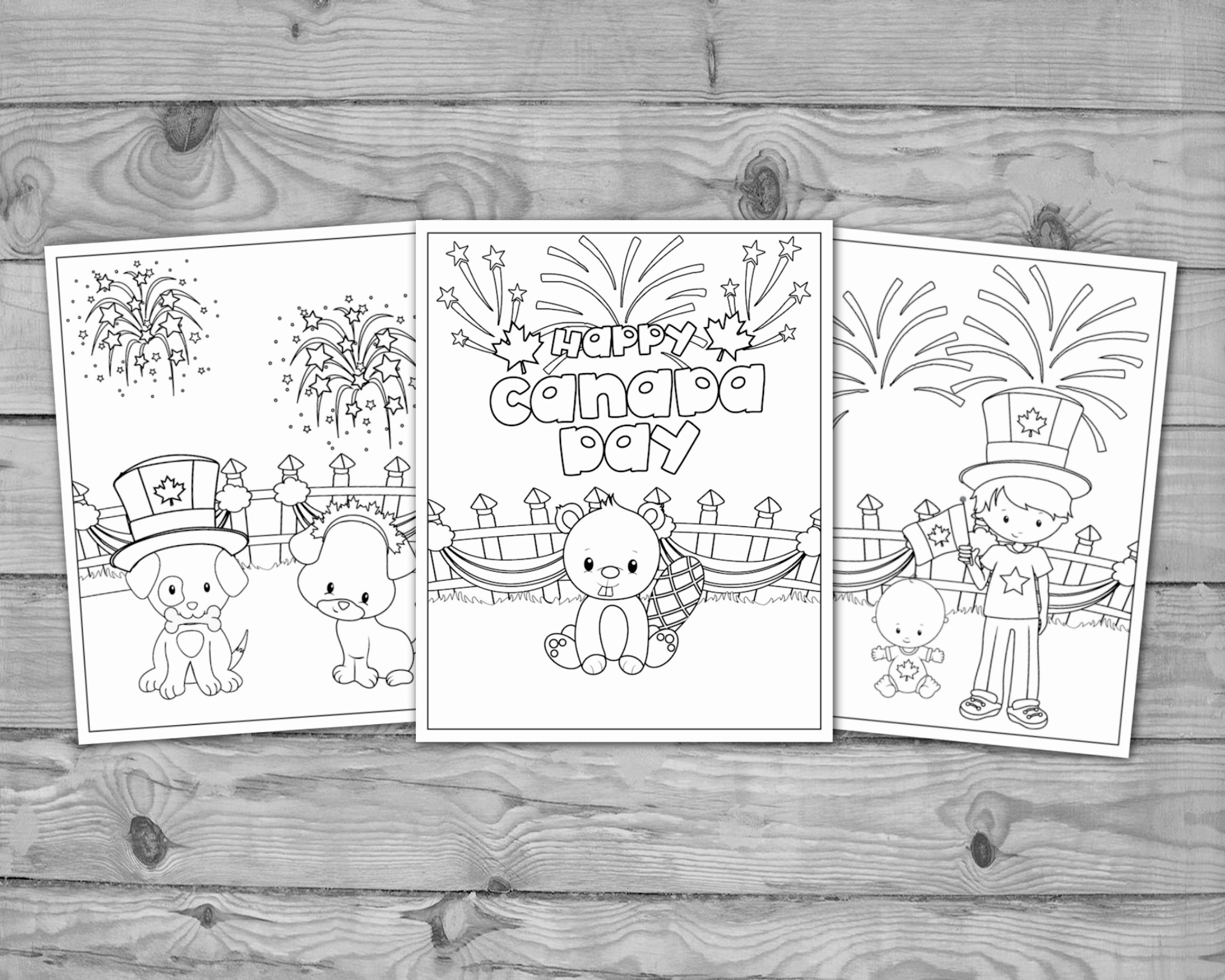 Printable Coloring for Kids Canada Day Activity Coloring | Etsy