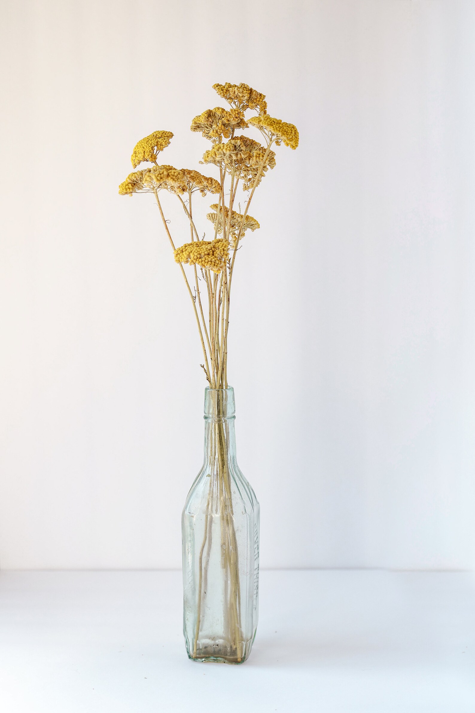 Dried Yellow Yarrow Dried Yarrow Dried Decor Dried Flowers - Etsy