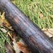 Magic Circle Wizard Staff Handmade Solid Oak Sturdy Quarterstaff - Etsy
