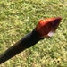 Red Gold Staff Hand Engraved Dragon Scale Pattern Hand Poured Resin Gem ...