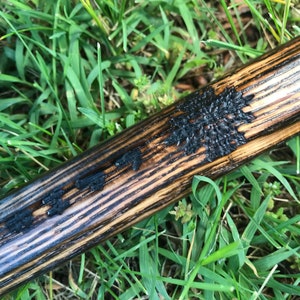 Snow Queen Staff Ice Magic Witch Staff Hand Made Renaissance Faire ...