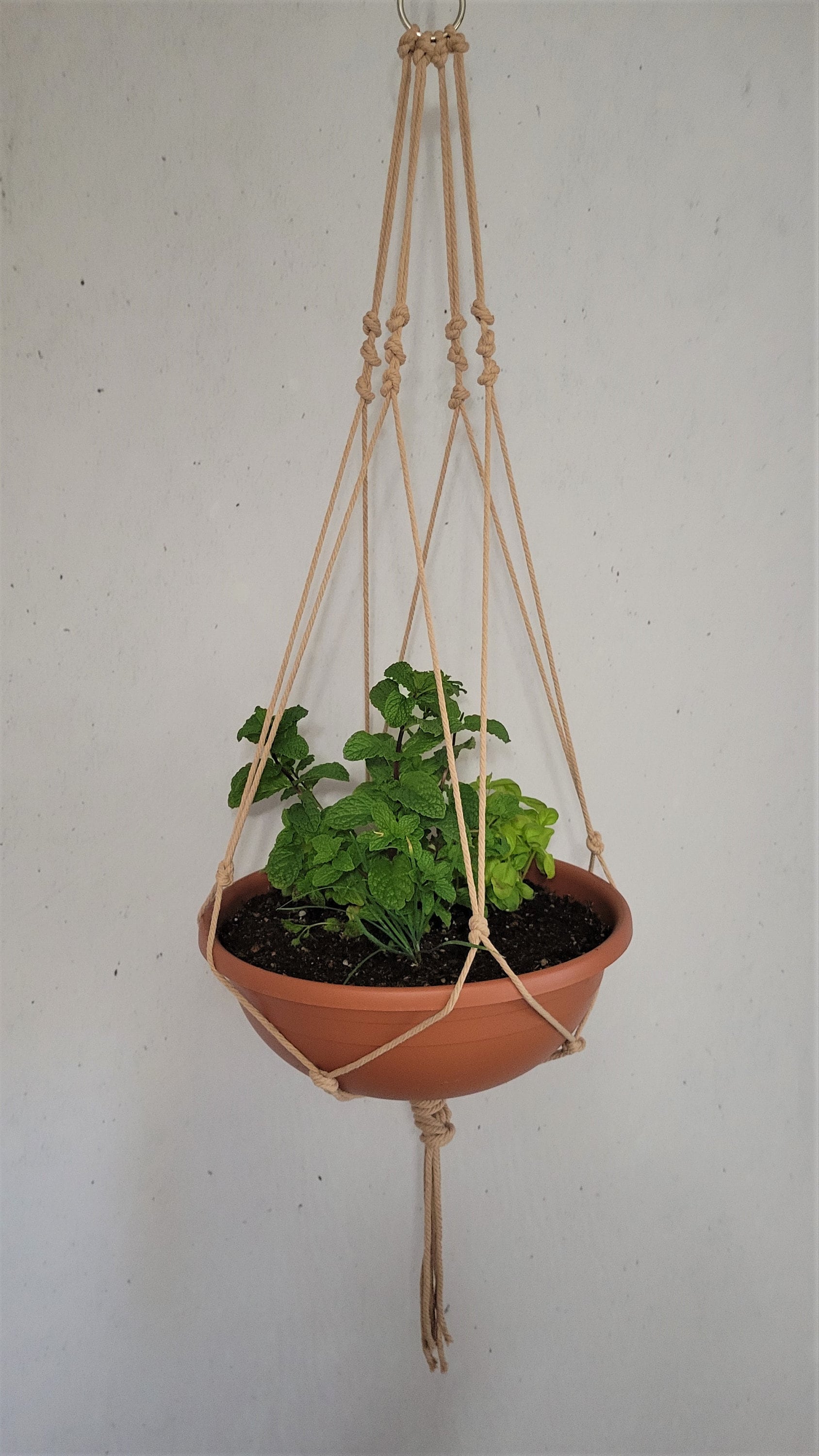 Outdoor Macrame Plant Hanger Simple Boho Patio Plant Hanger - Etsy