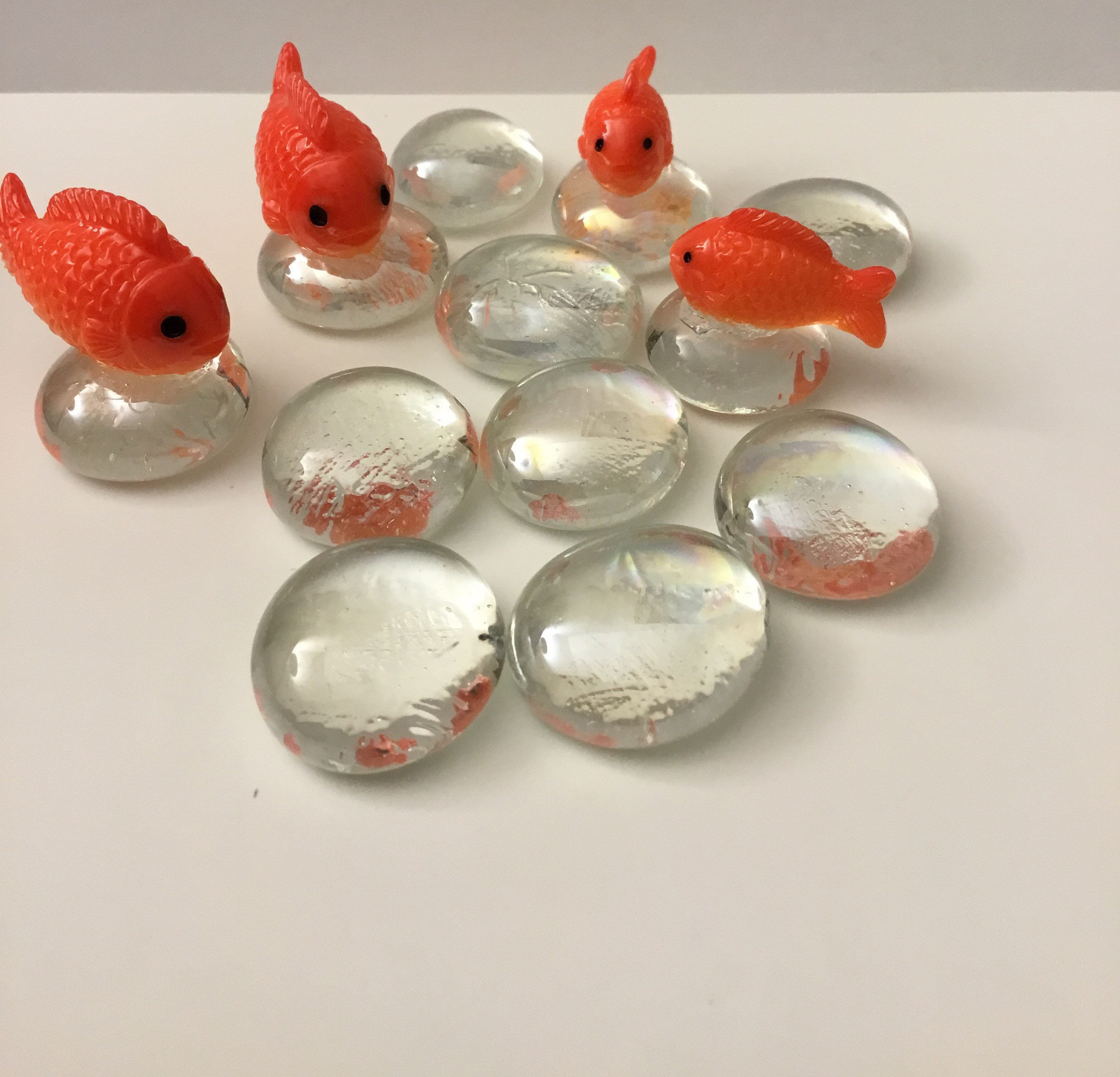 Goldfish for Haftseen 4 or 6 Fish on Glass Rocks With Glass - Etsy