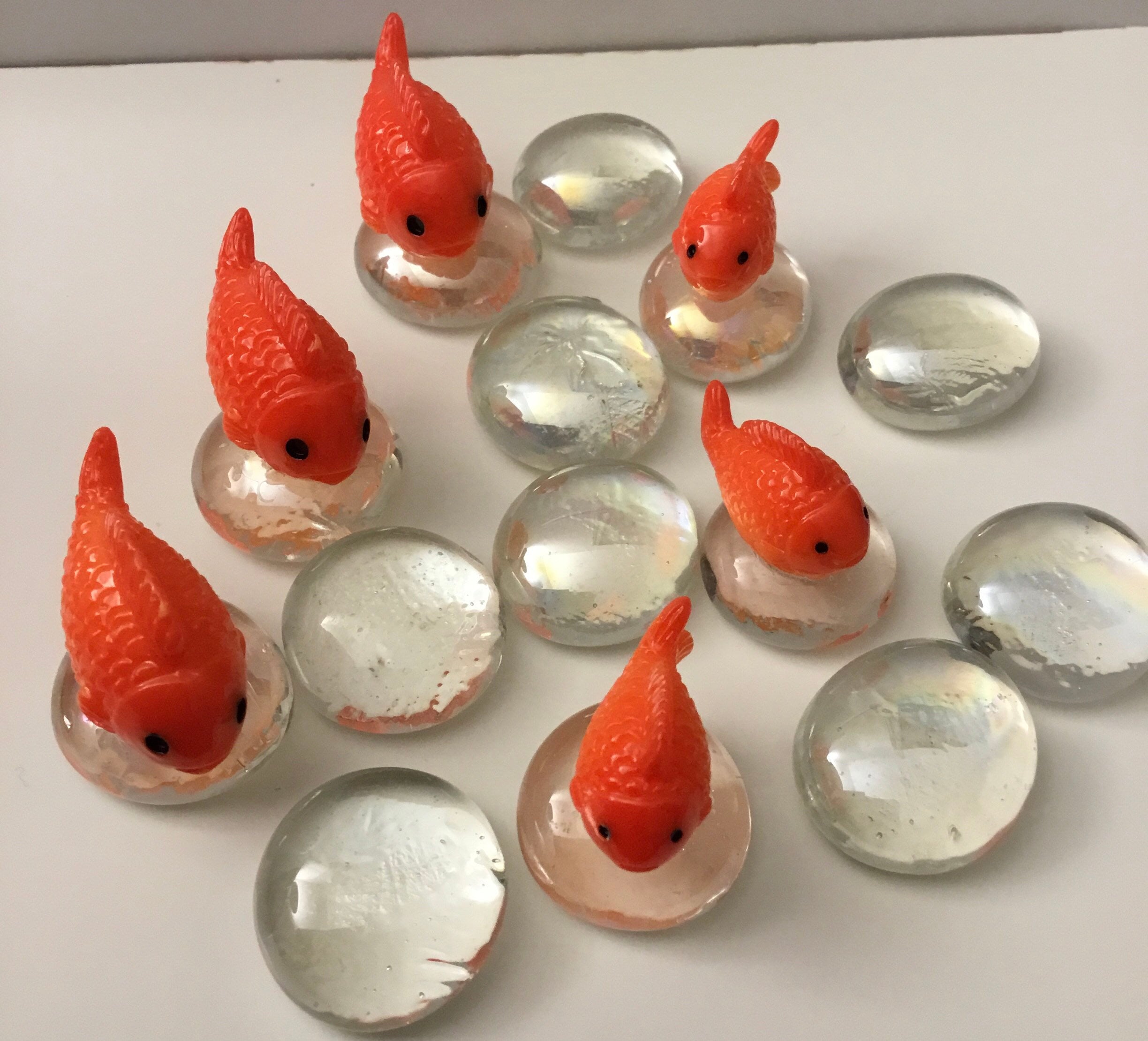 Goldfish for Haftseen 4 or 6 Fish on Glass Rocks With Glass - Etsy