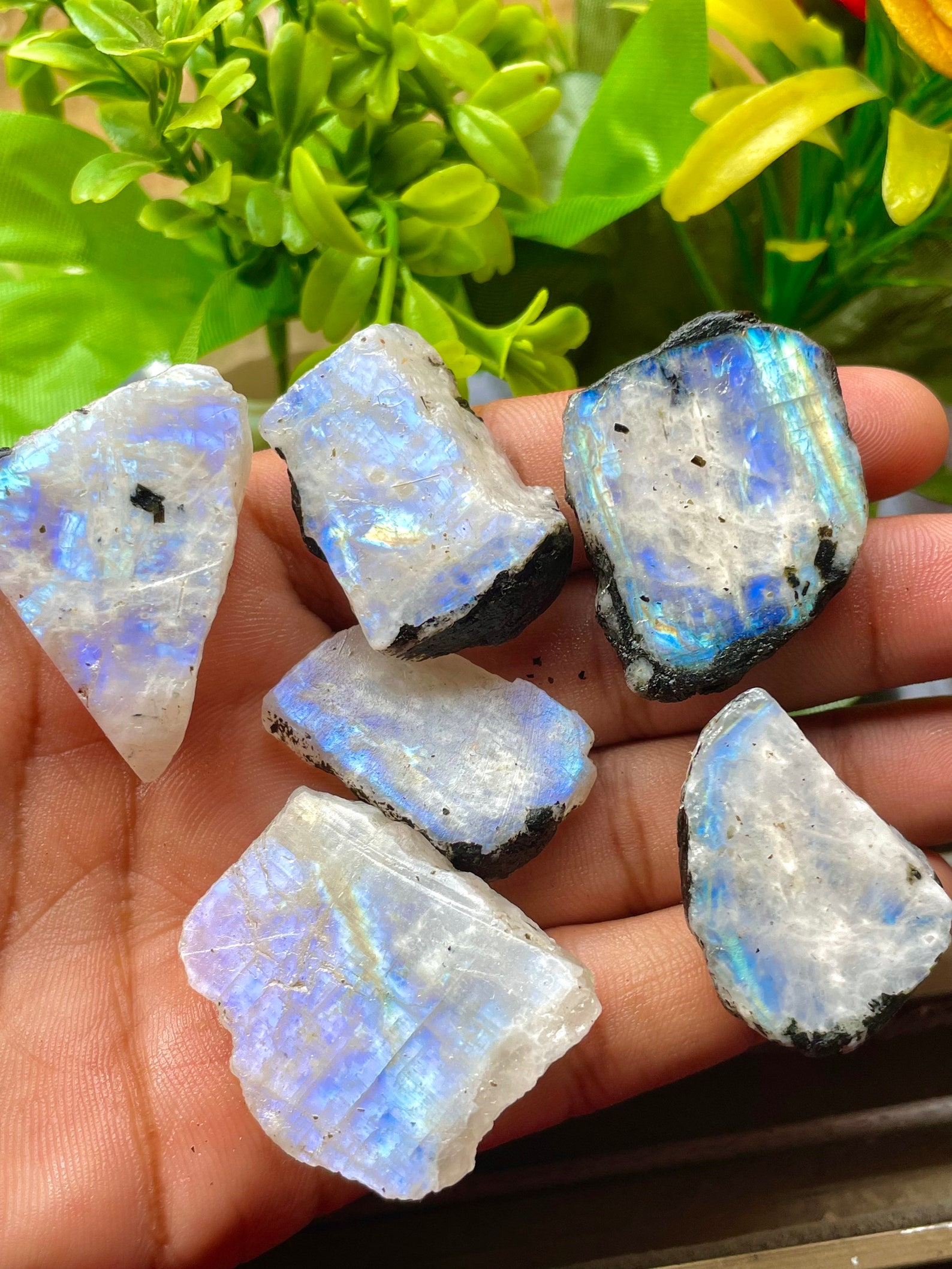 Genuine Raw Rainbow Moonstone front flat rough gemstone blue | Etsy