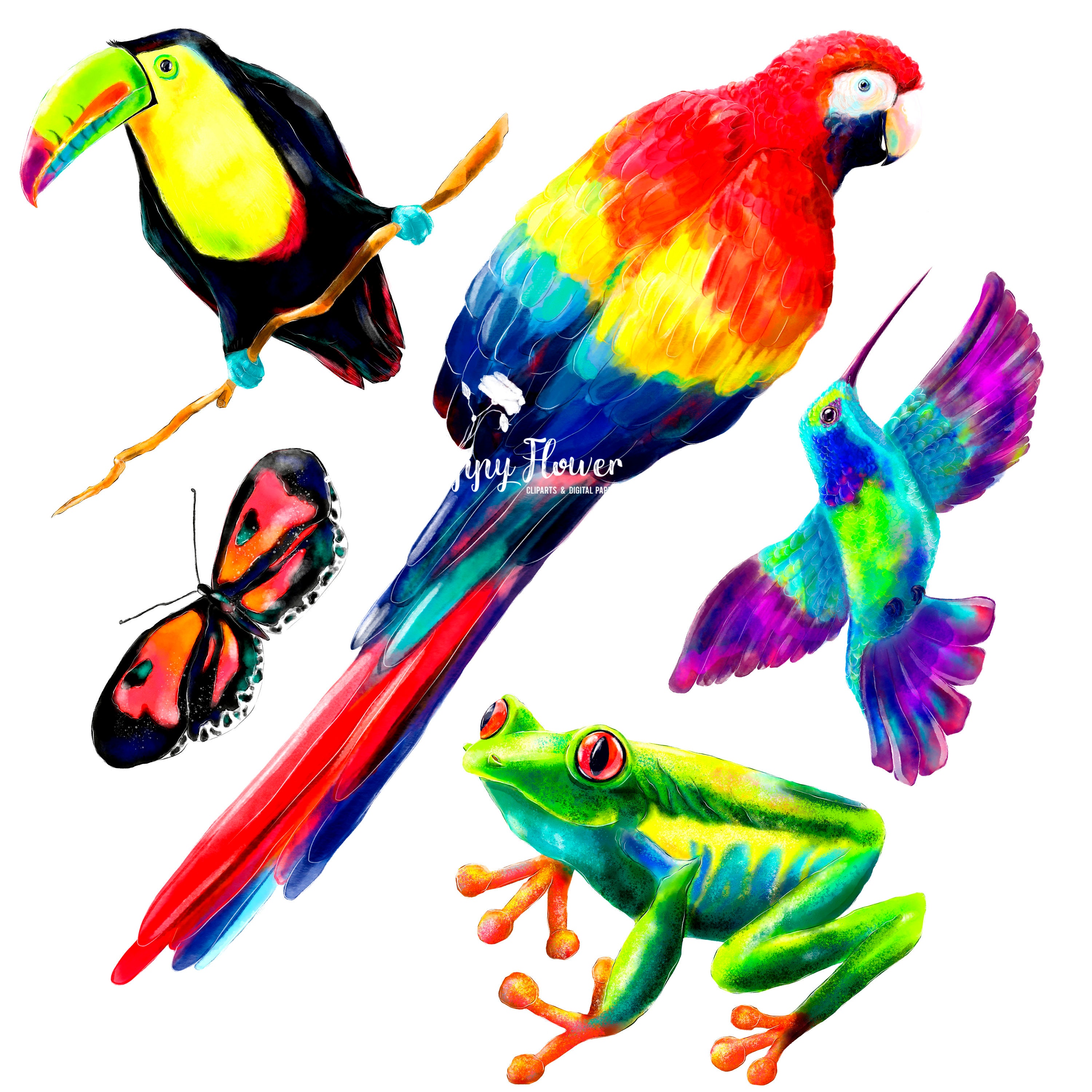 Tropical Animals Digital PNG Pack, Scrapbook Kit, Instant Download ...