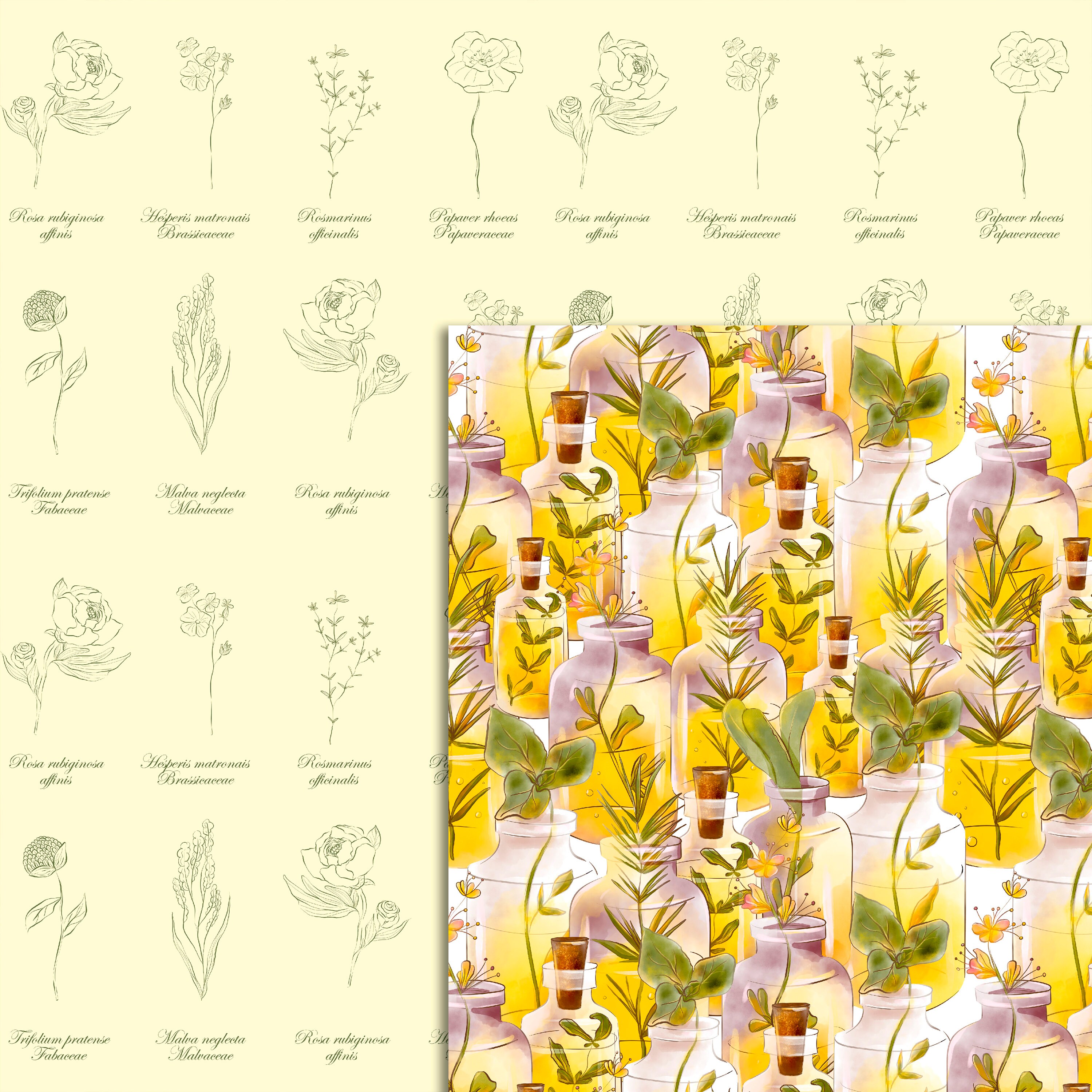 Aromatherapy Digital Paper Pack Spa Printable Candles - Etsy