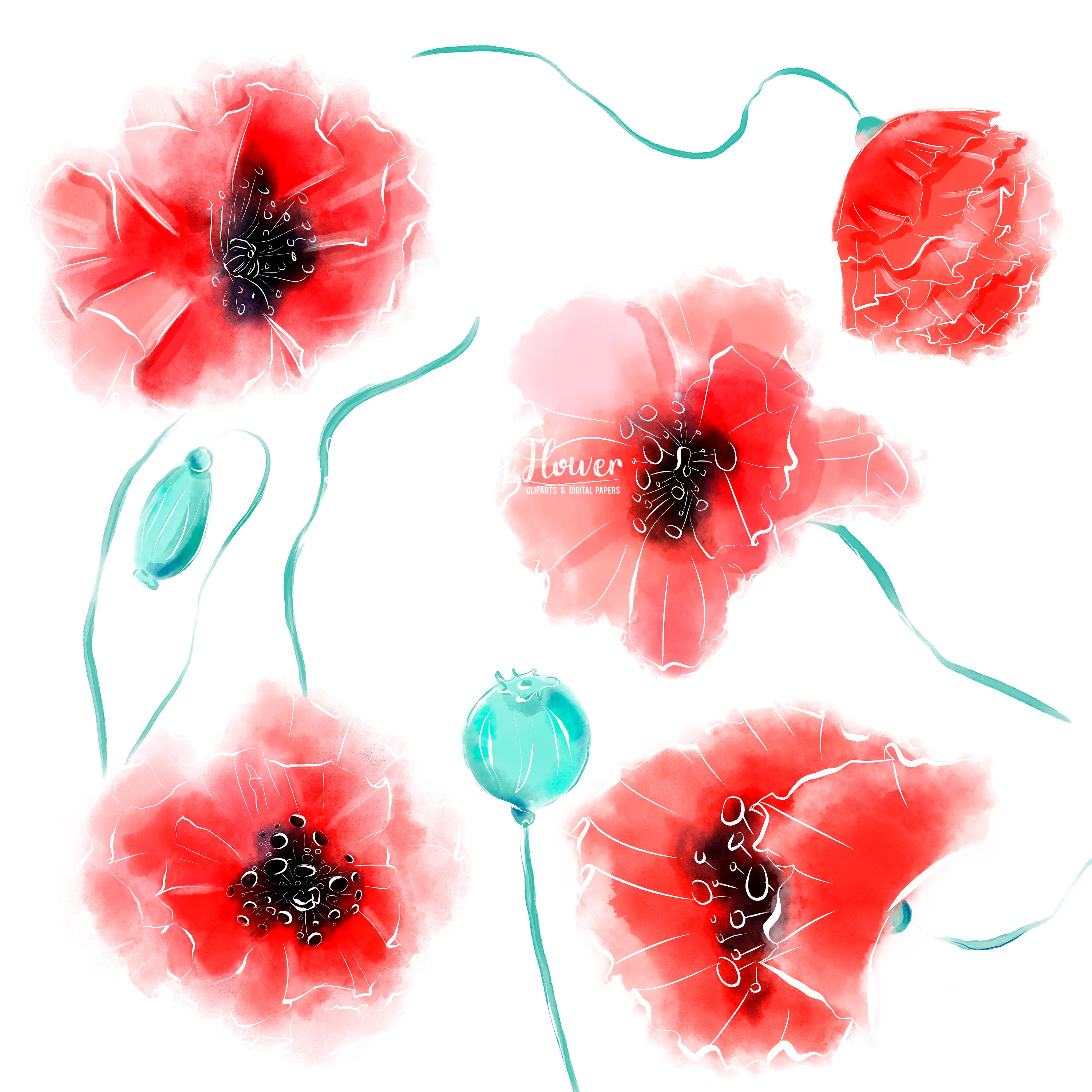 Watercolor Poppy Clipart Digital Pack, Red Poppy Sticker, Flower PNG ...