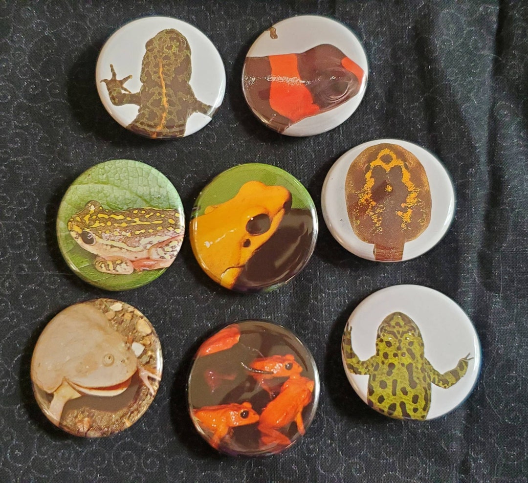 1.25 Amphibians, Frogs, Salamander Pinback Buttons Set of 8 84 - Etsy