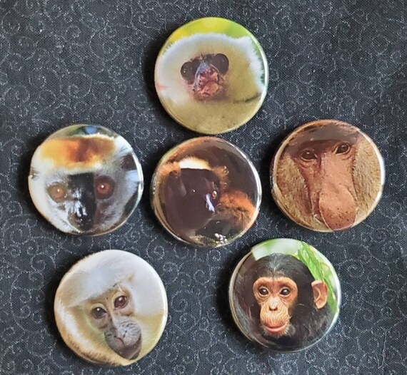 1.25 Primate Simio Mono Bush Baby Pinback Botones 3 - Etsy España