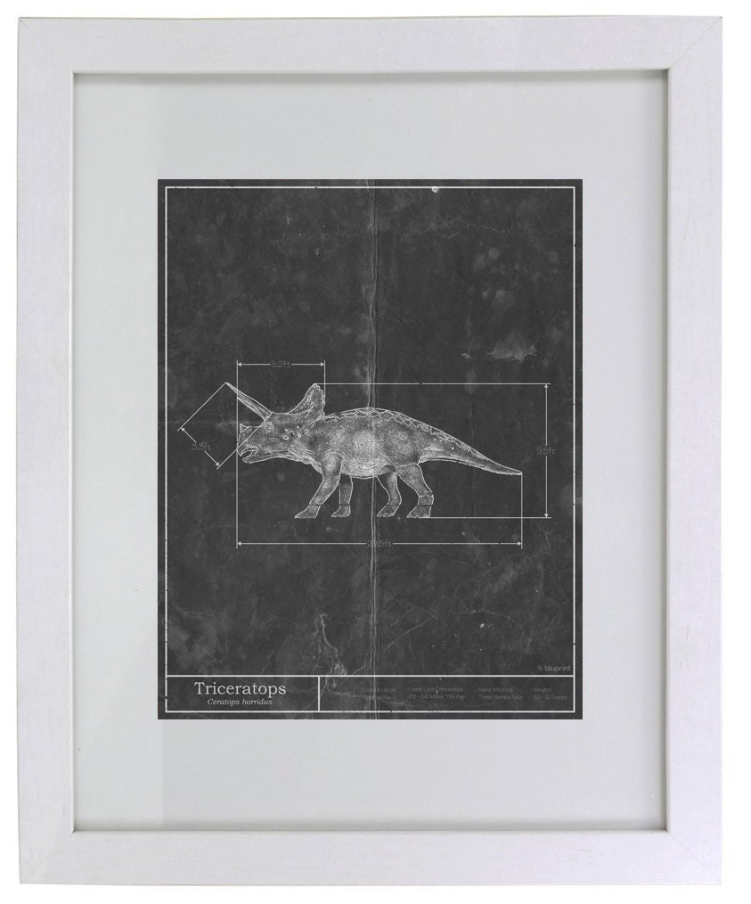 Triceratops Vintage Schematic Art. Sizes 5x7 to 24x36 Framed | Etsy