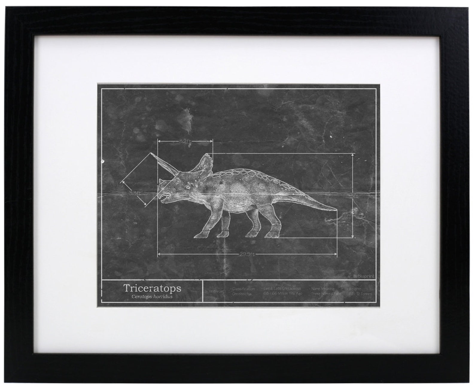 Triceratops Vintage Schematic Art. Sizes 5x7 to 24x36 Framed - Etsy