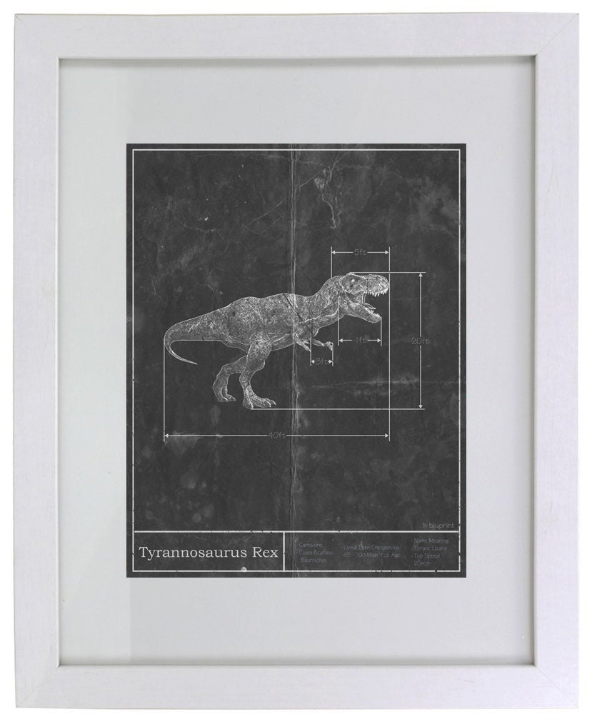 Tyrannosaurus Rex Schematic Diagram Art 5x7 to 24x36 Print - Etsy