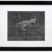 Tyrannosaurus Rex Schematic Diagram Art 5x7 to 24x36 Print - Etsy