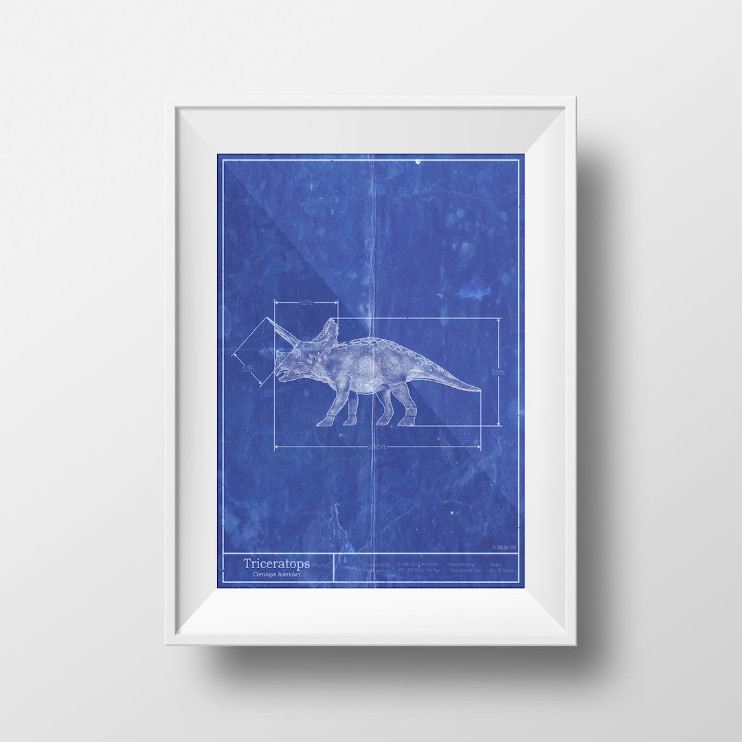 Triceratops Vintage Schematic Art. Sizes 5x7 to 24x36 Framed Prints and ...
