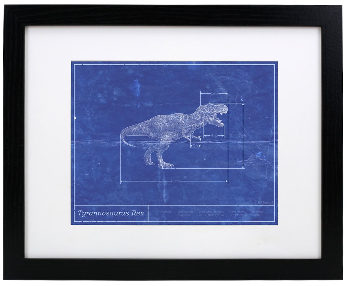 Tyrannosaurus Rex Schematic Diagram Art 5x7 to 24x36 Print - Etsy
