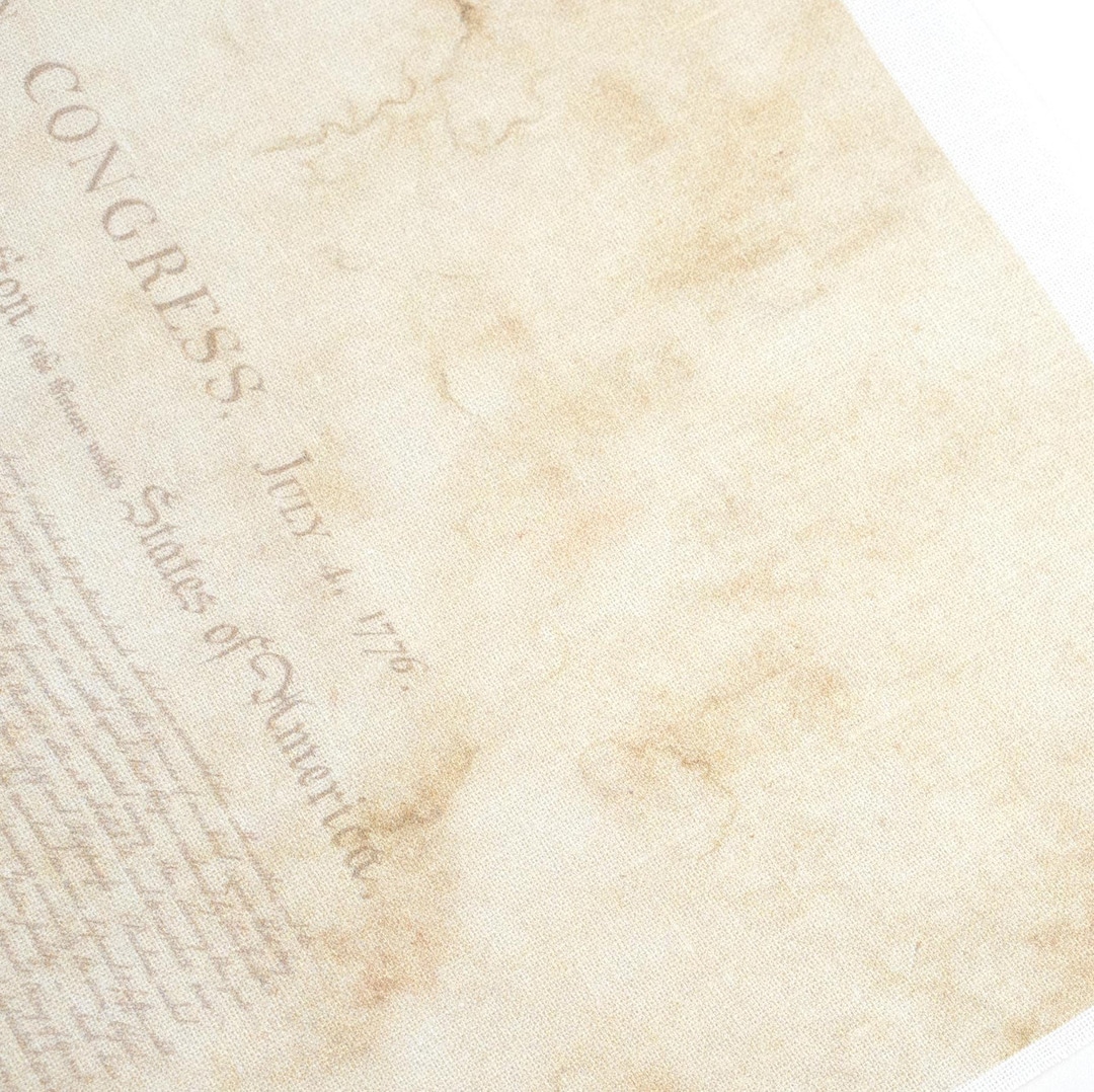 Declaration of Independence // Cross Stitch Fabric // Choose From Aida ...