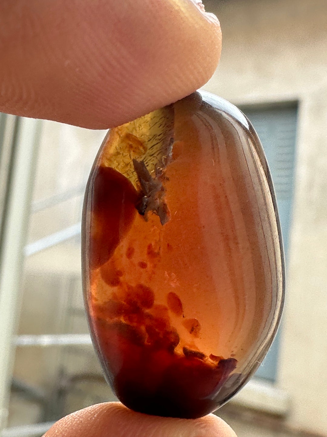 Amber Amber Stone Amber Tumbled Stone Natural Amber Real Amber Polished ...