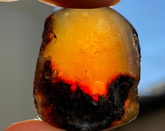 Slice of Raw Amber - Etsy